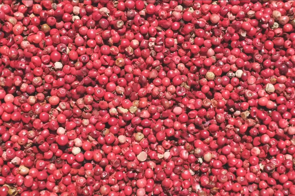 Pink pepper of Madagascar - Aromeya