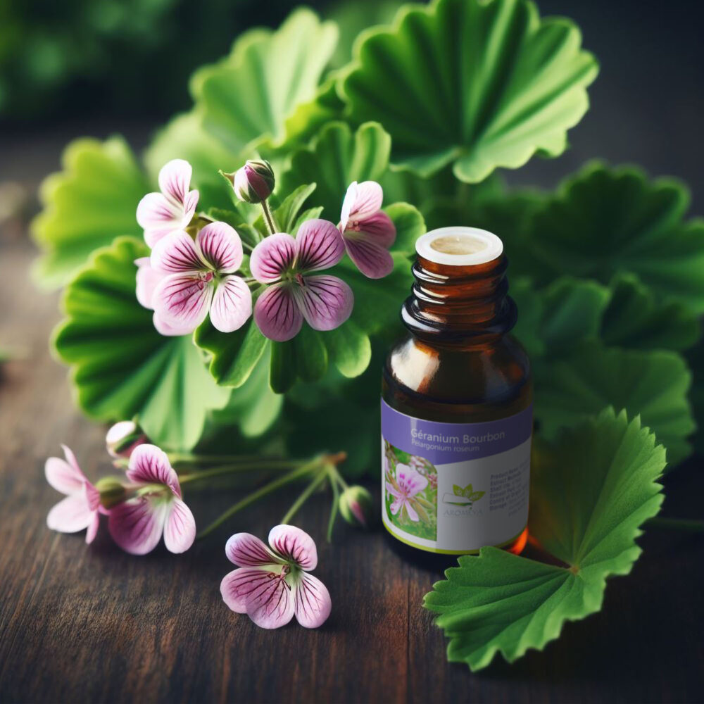 DISCOVERING GERANIUM BOURBON ESSENTIAL OIL FROM MADAGASCAR - Aromeya