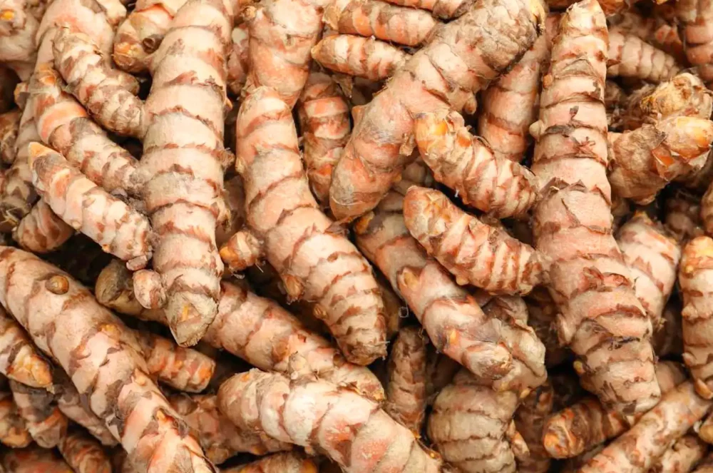 Turmeric of Madagascar - Aromeya